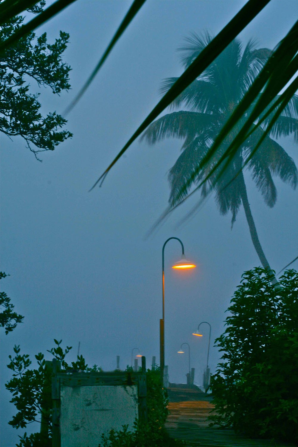 How to Get Through Hurricane Season? Read! - Creative Pinellas